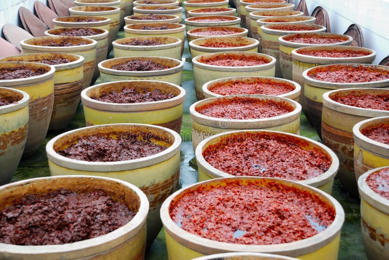 Fava Chili Paste de Pixian foto de stock. Imagem de ingrediente - 33917896