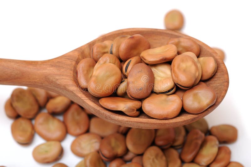 Fava fasola zdjęcie stock. Obraz złożonej z mieszkanie - 30564922