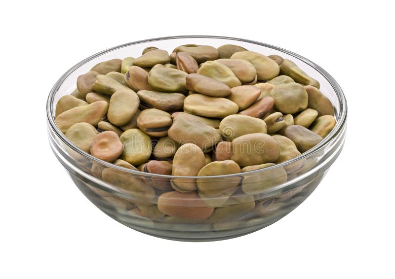 Fava Fasoli Vicia Faba Legumes Warzywa Obraz Stock - Obraz złożonej z ...