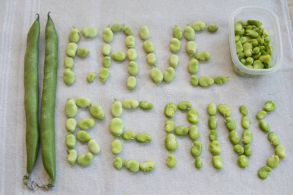 Fave beans stock image. Image of style, life, green - 380223023