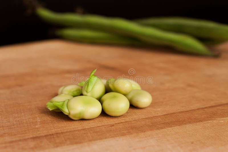 Fave stock image. Image of legumes, soup, plant, plants - 38794235