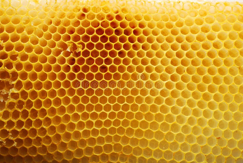 Favore di miele fotografia stock. Immagine di favo, arancione - 20490642