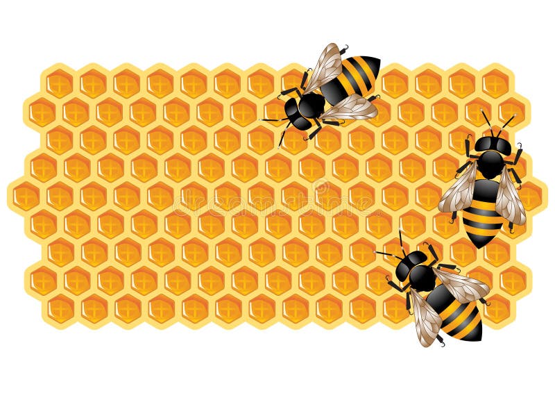 Alveare E Struttura Felice Delle Api Illustrazione Vettoriale ...