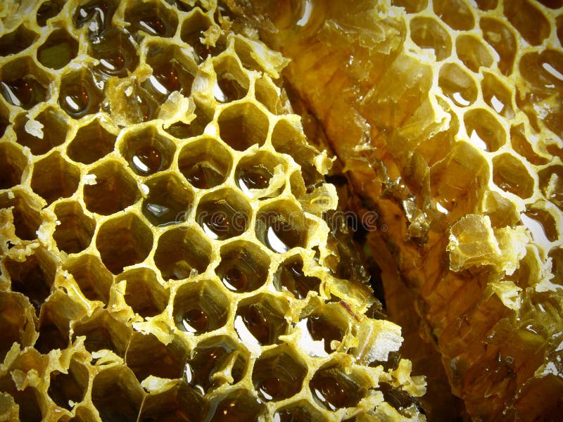 Favo de mel foto de stock. Imagem de alveolado, dourado - 7050872