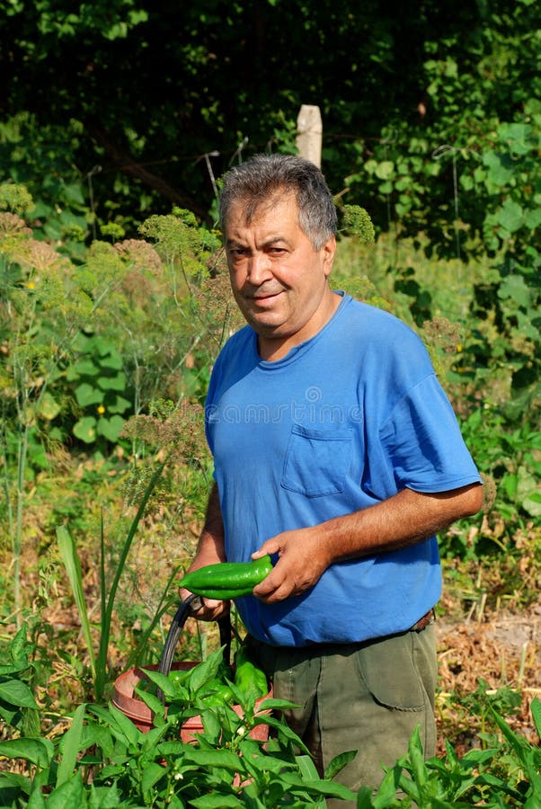 Fazendeiro foto de stock. Imagem de olhar, fazenda, retrato - 32682756