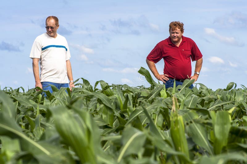 Fazendeiro foto de stock editorial. Imagem de rural, terra - 64295768