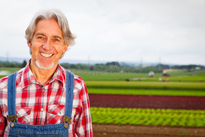 Fazendeiro Standing in Front of His Field Imagem de Stock - Imagem de ...