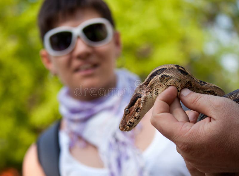 Fear from snake stock image. Image of individuality, lifestyles - 14587005