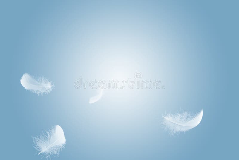 Light Fluffy a White Feathers Floating in the Air. Stock Photo - Image ...