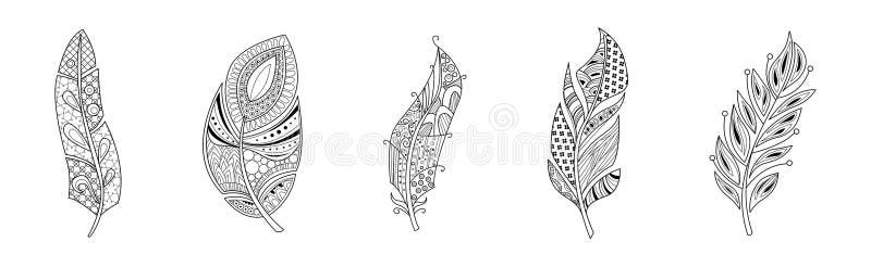 Feather Artistically Drawn Stylized Element Vector Set Stock Vector ...