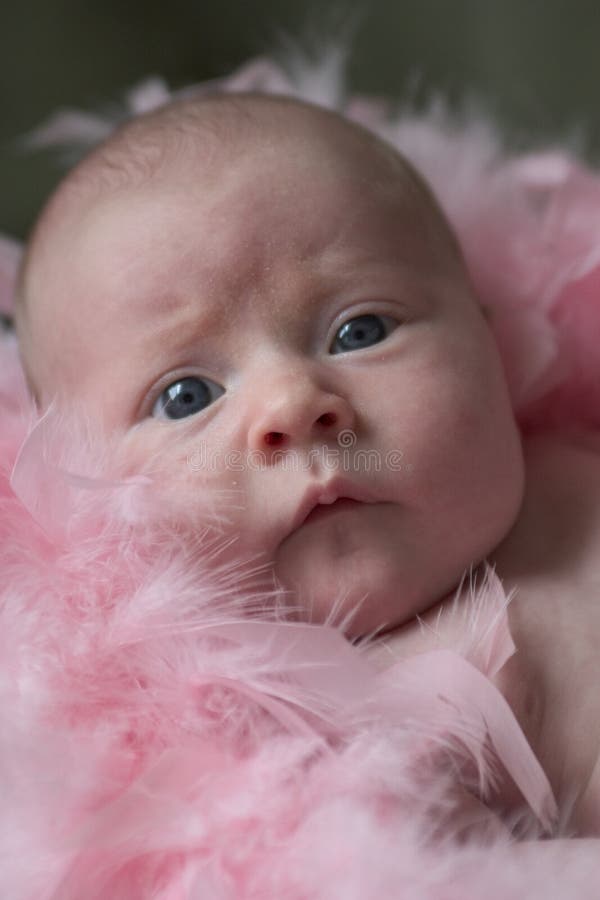 Feather baby stock image. Image of enjoyment, happy, adore - 790375
