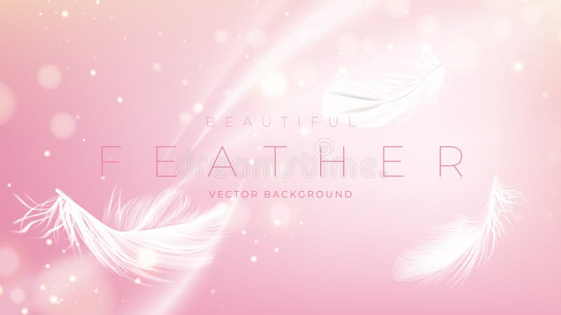 Feather Vector Background is Suitable for Various Scenes Stock ...