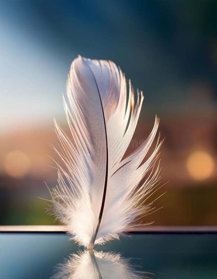 Feather Balanced on Glass Table Edge with Soft Ambient Lighting Stock ...