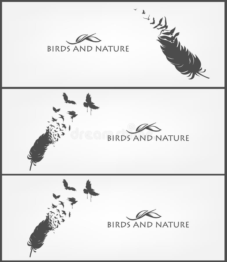 Feather Banner for Facebook Vector Design Stock Illustration ...