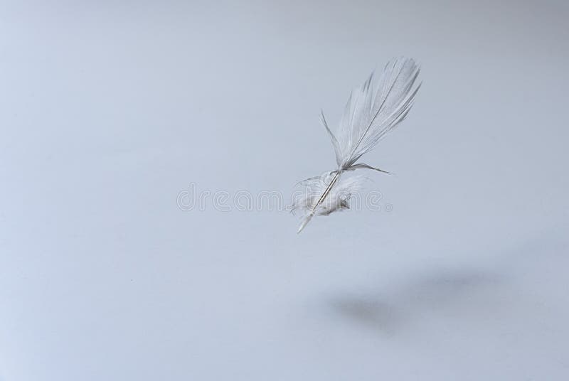 Free Clipart Being Stock Photos - Free & Royalty-Free Stock Photos from ...