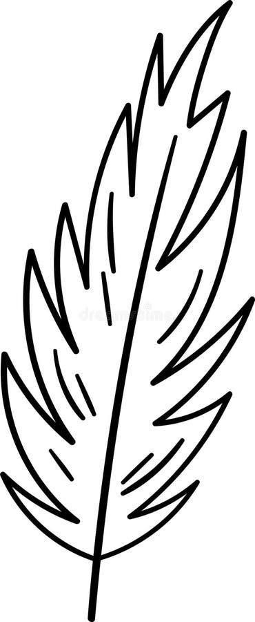 Feather Bird Outline stock vector. Illustration of design - 301034896