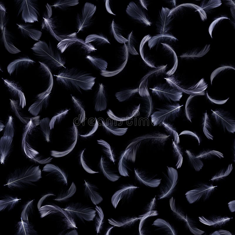 Feather Black. White Pastel Angel Feather Closeup Texture Falling on ...