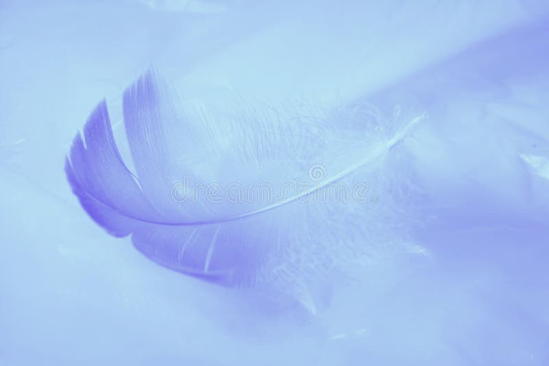 Bright Peacock Feather Grunge Background Stock Illustration ...