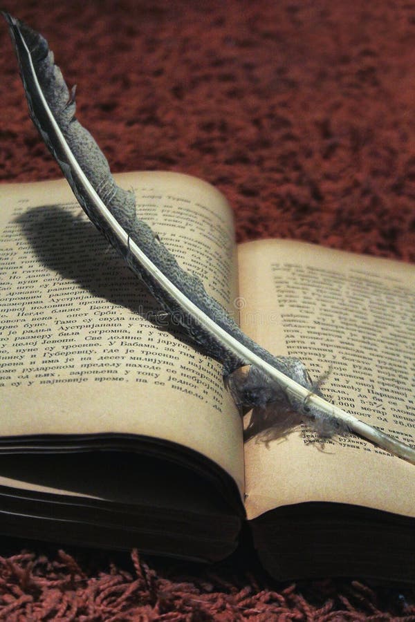Feather on the book stock photo. Image of pages, texture - 40876508