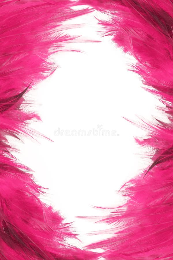 Feather borders stock image. Image of softness, soft, feathers - 1209007
