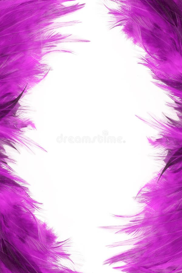 Feather borders stock photo. Image of glamorous, tickler - 1209072