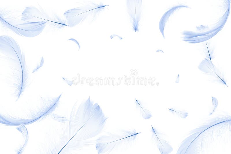 Feather Concept. Pastel Angel Feather in Pattern Texture Falling on ...