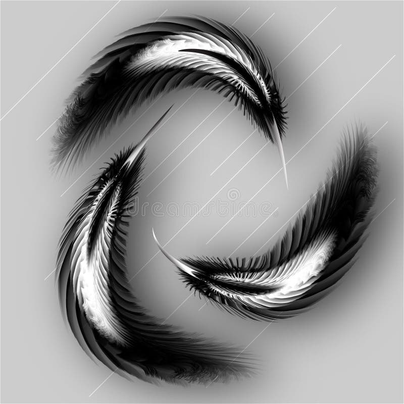 Feather Dance stock illustration. Illustration of modern - 63553105