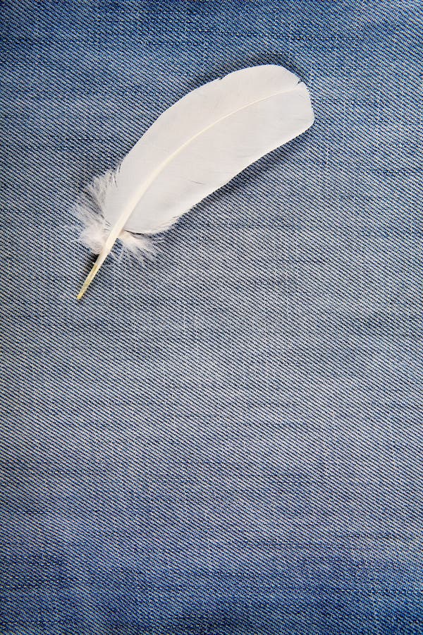 Feather on Denim Background Stock Image - Image of backdrop, pattern ...