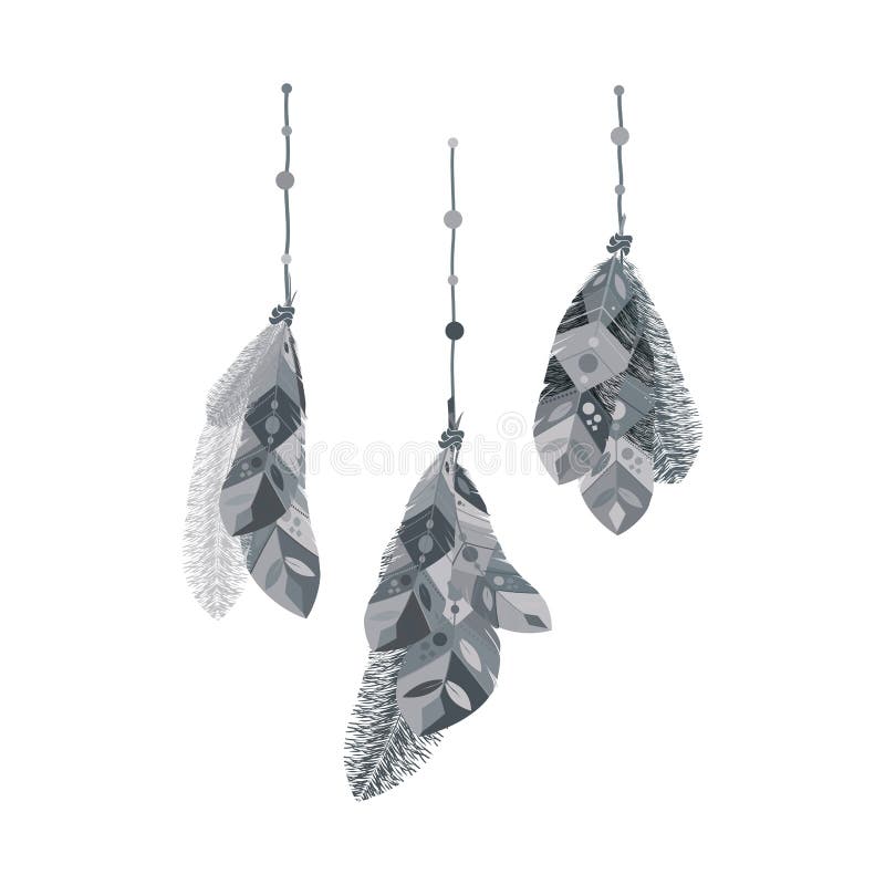 Feather Design. Isolated Bohemic Plume, Vector Graphic Stock Vector ...