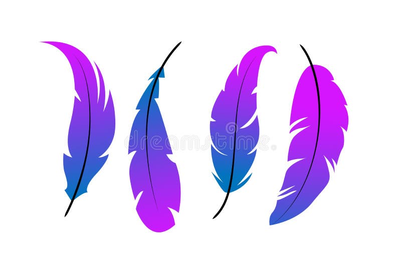 Feather. Different Forms of Feathers. Feather Silhouettes Stock Vector ...
