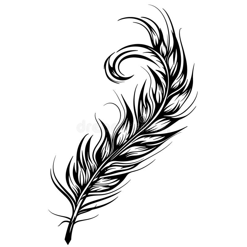 A Feather is Drawn in Black and White Stock Illustration - Illustration ...