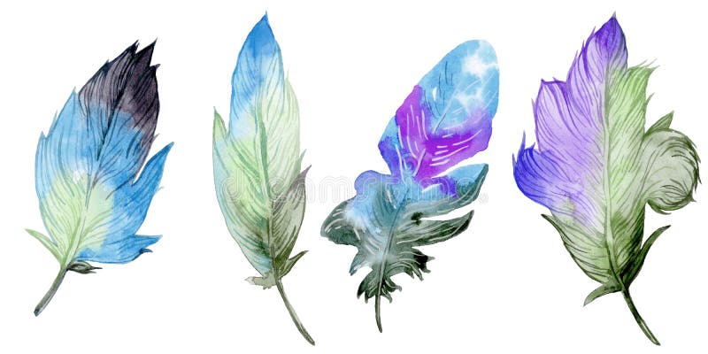 Bird Feather Element Set. Hand Drawn Watercolor Illustration Stock ...