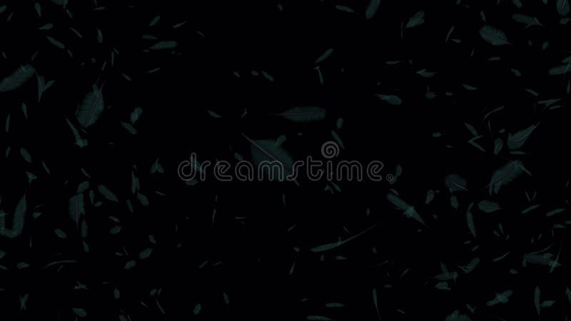 Feather Explosion. Burst of Feathers. Alpha Channel Stock Video - Video ...