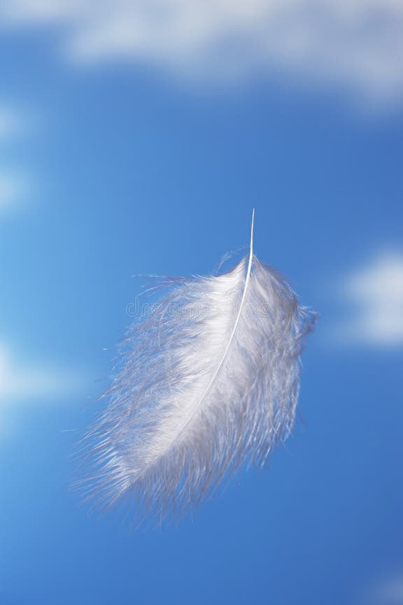 Feather Falling Against Sky Stock Photo - Image of digital, falling ...