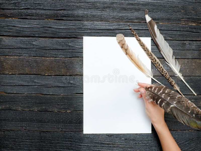 Clean Sheet of Notebook Close Up, Ballpoint Pens Close Up Lie on a ...