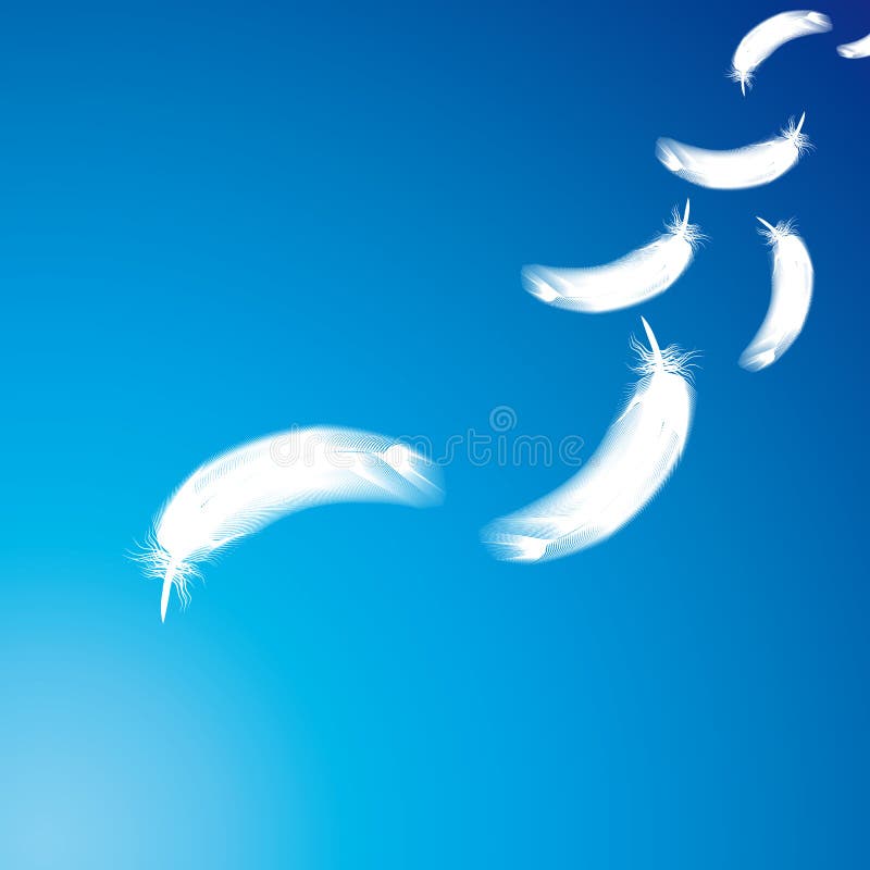 Feather fly stock vector. Illustration of holy, decor - 8139655