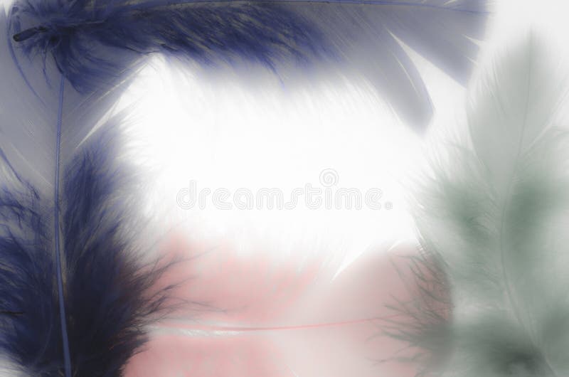 Feather Frame stock image. Image of multi, feather, vivid - 49357471