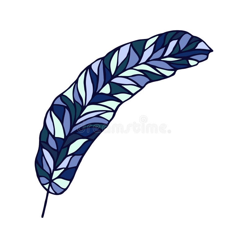 Feather with Geometric Pattern. Eps10 Vector Illustration. Hand Drawing ...