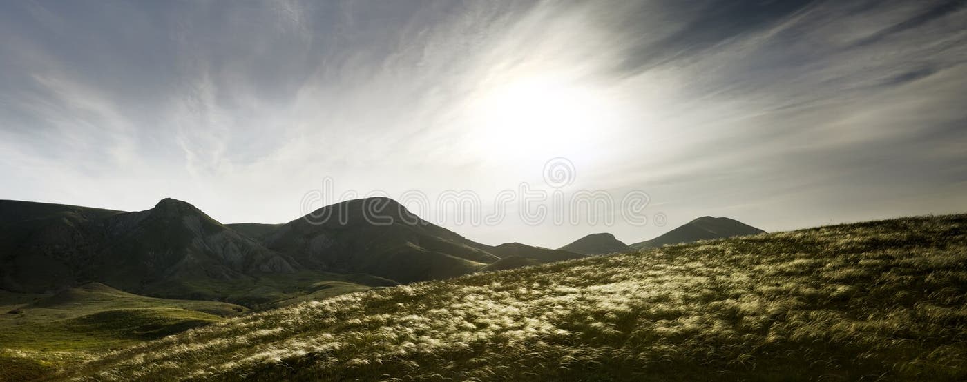 19,390 Feather Has Stock Photos - Free & Royalty-Free Stock Photos from ...