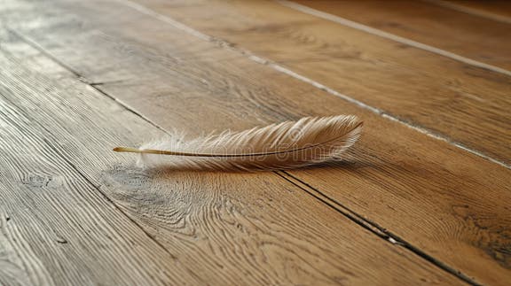 Feather on Ground: a Single Feather on a Wooden Floor. Stock Image ...