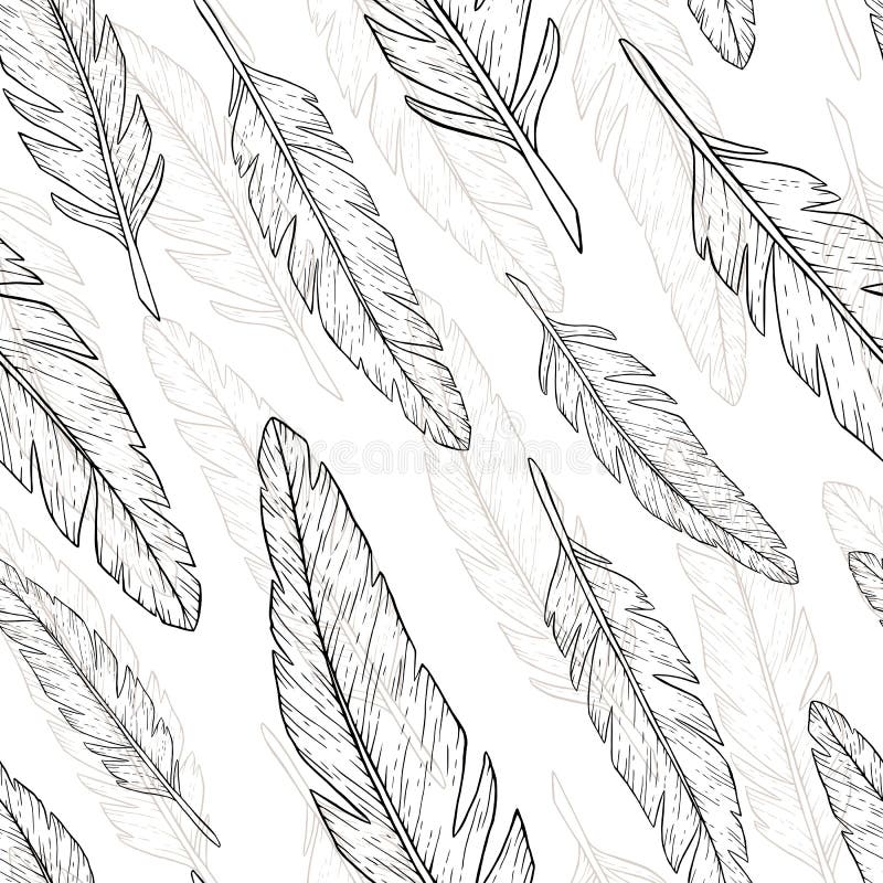 Feather hand drawn pattern stock vector. Illustration of light - 38144646