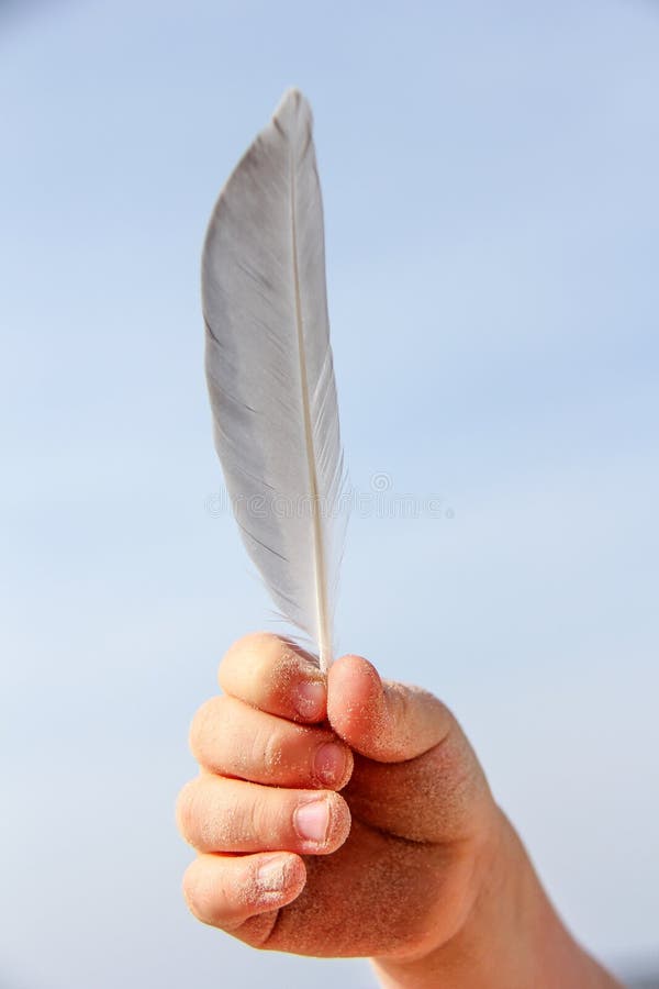 Feather in hand stock photo. Image of pattern, bird, single - 94500534