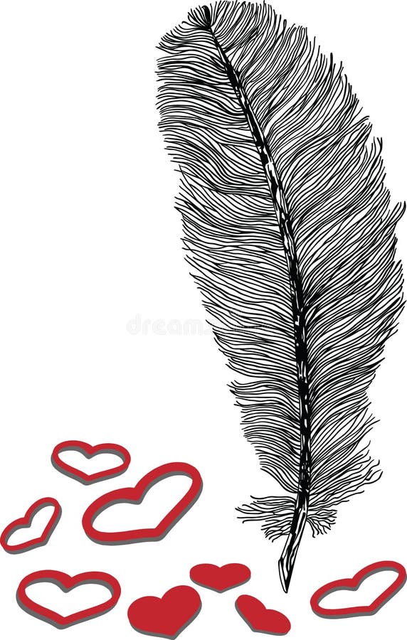 Feather and Heart Illustration Stock Vector - Illustration of ornate ...