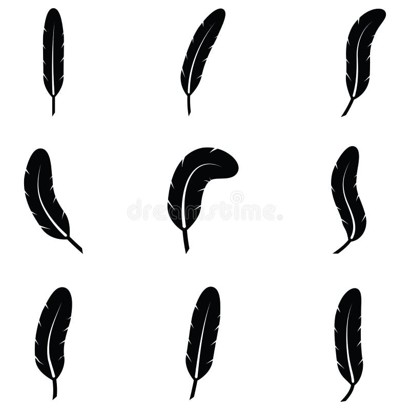 Feather icon set stock vector. Illustration of lightweight - 121875244