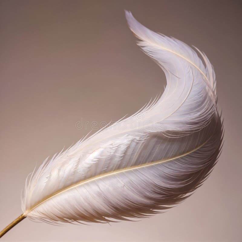 A Feather Its Delicate Form - Generated by Ai Stock Illustration ...