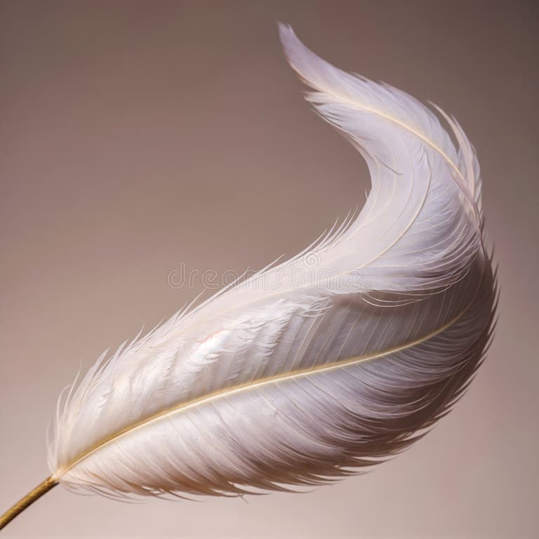 A Feather Its Delicate Form - Generated by Ai Stock Illustration ...