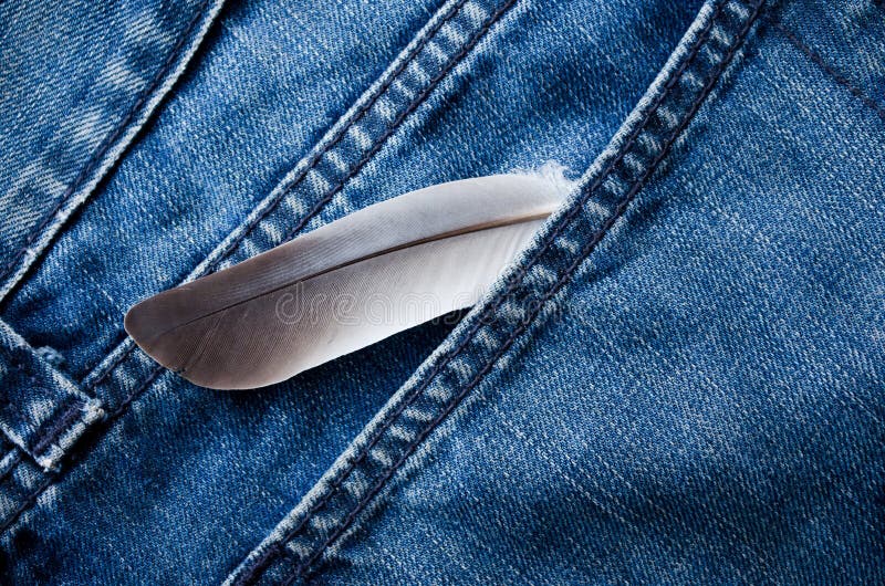 Feather on jeans stock photo. Image of canvas, feather - 32338650