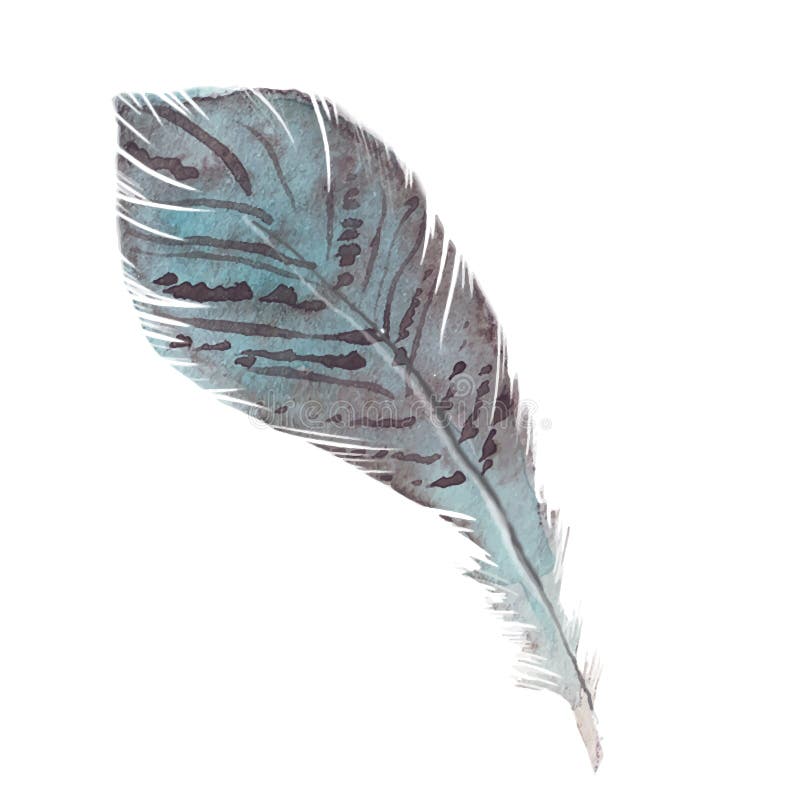 Bird Feather Watercolor Vector Illustration for Graphic Design Stock ...