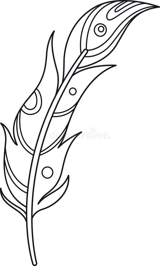 Feather Outline Boho stock vector. Illustration of bird - 299732211