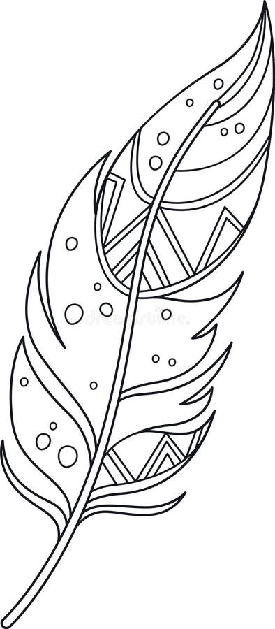 Feather Outline Boho stock vector. Illustration of collection - 299733015